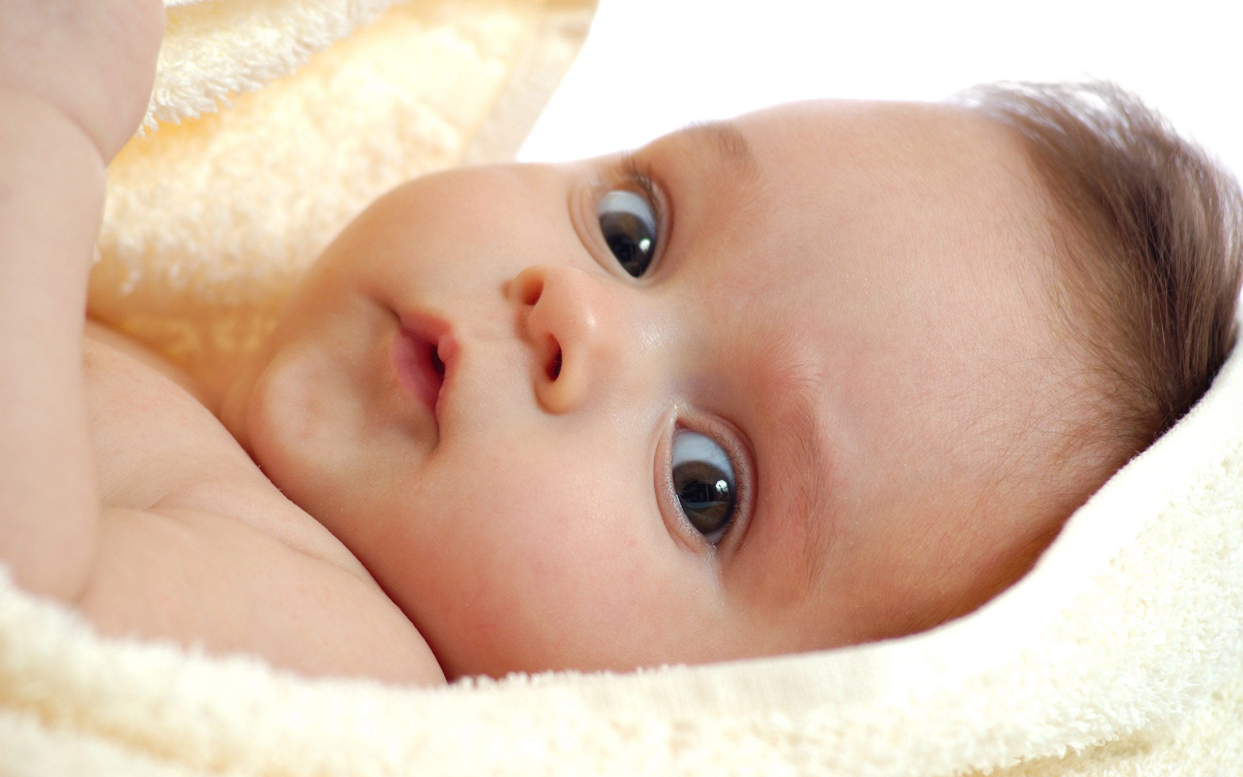 Kelahiran Bayi Ke-Dua - Brili Agung